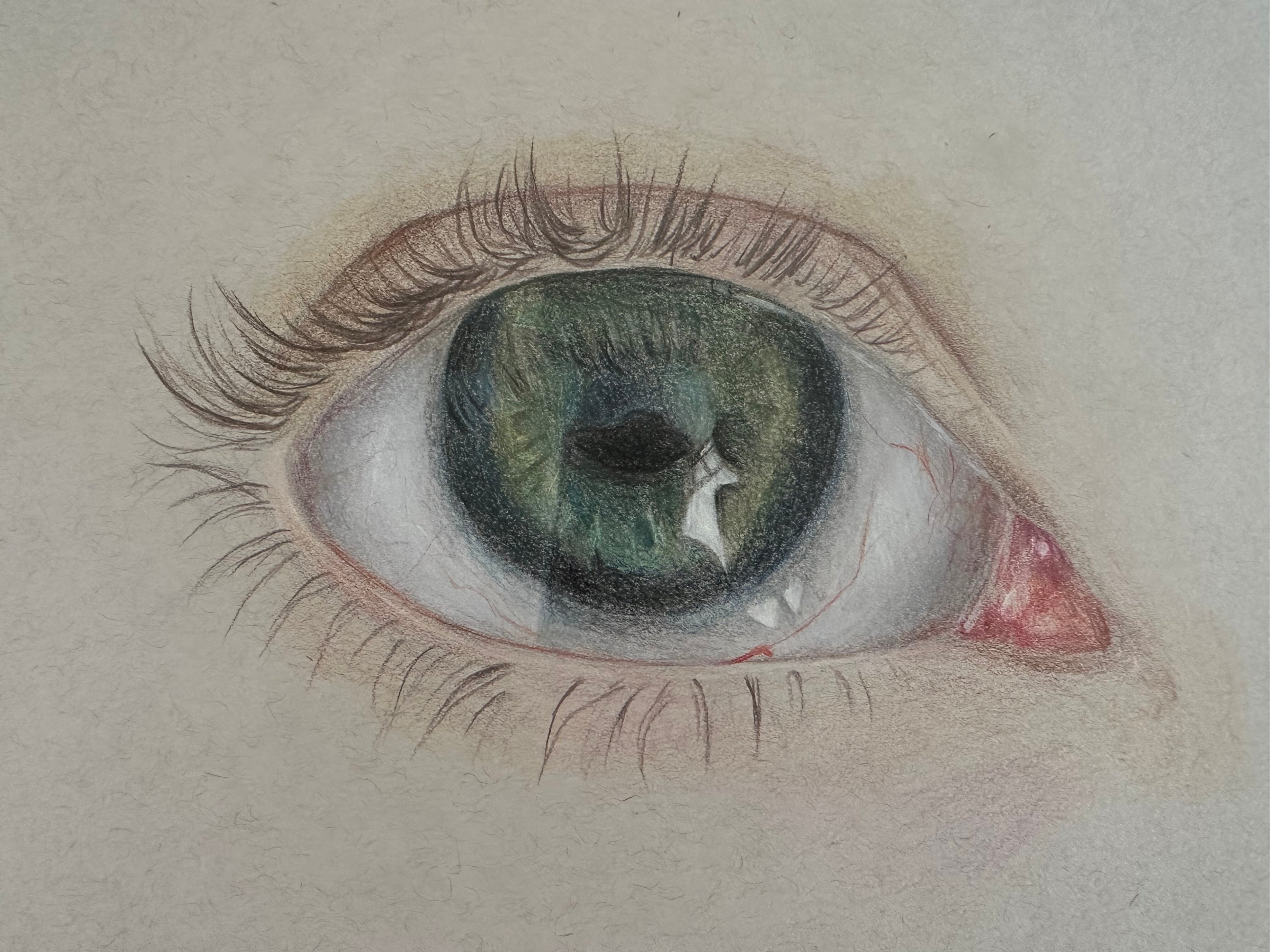 What is the RIBA and ARB? | RIBA Chartered XUL Architecture